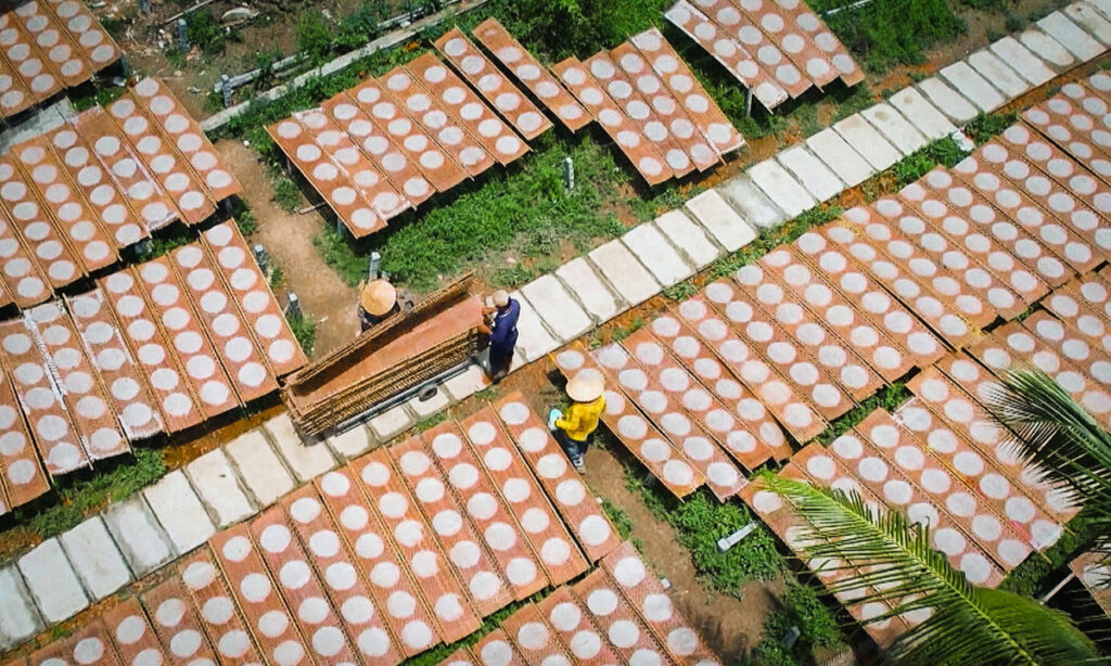 Thuan Hung paper cake craft village - Vietnam Travel Online