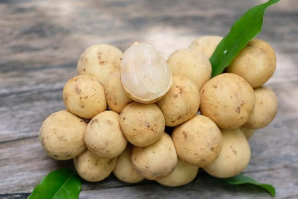 Vietnamese bon bon fruit: A sweet and sour bliss from a tropical ...